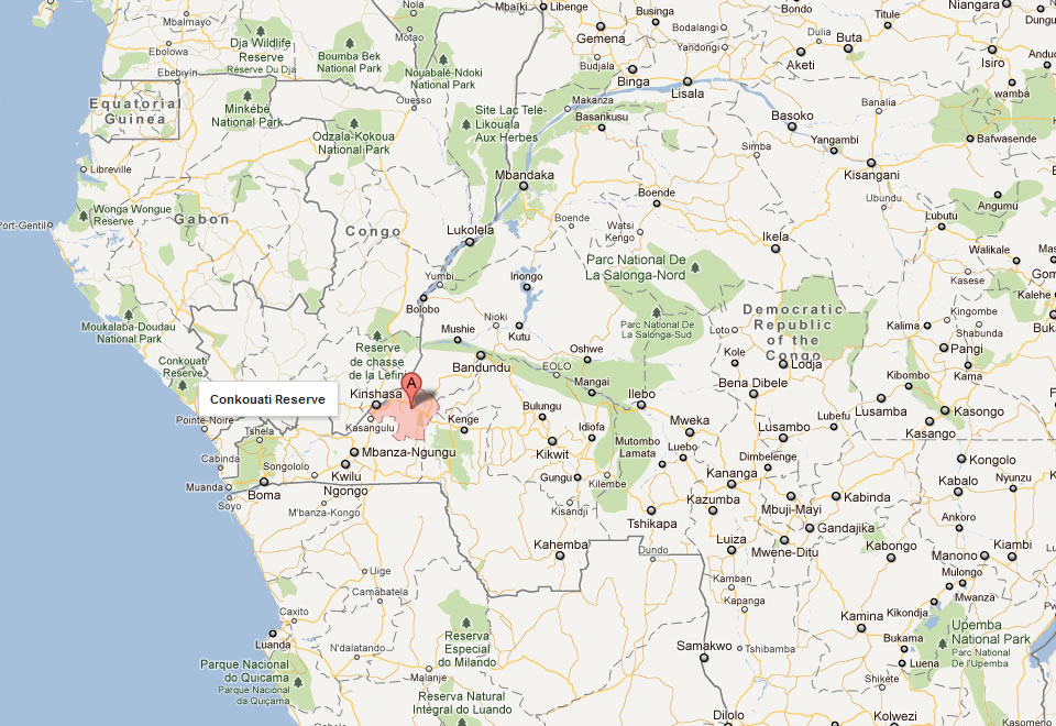Kinshasa Carte et Image Satellite