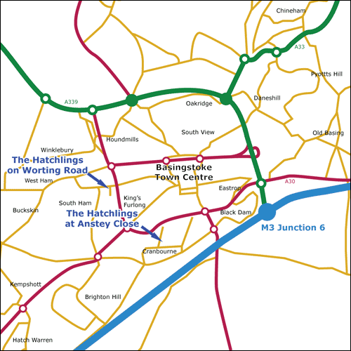 Basingstoke Plan